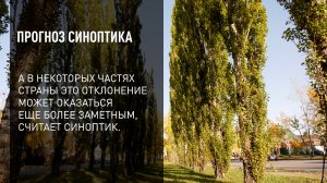 Прогноз синоптика