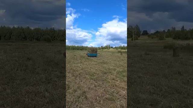 КАК ЛЮДИ ЖИВУТ В ДЕРЕВНЕ. Переходите на полные ролики
