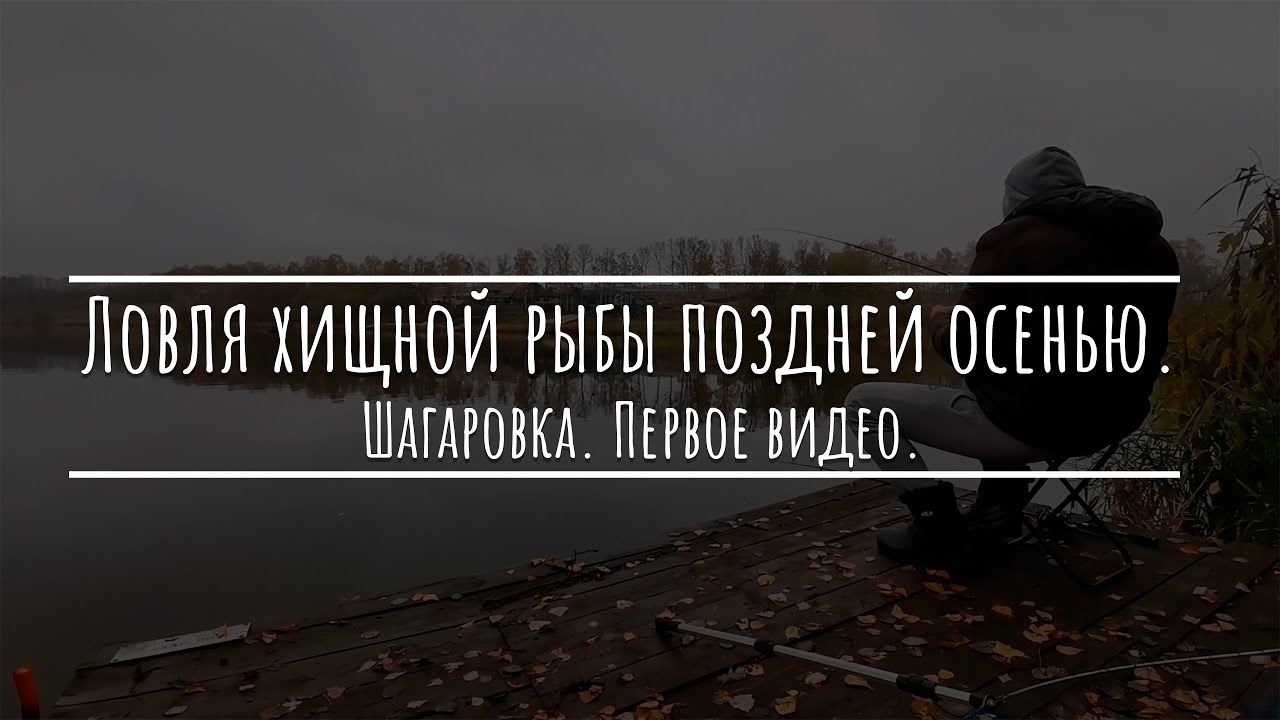 Ловля хищной рыбы поздней осенью. Шагаровка. Первое видео.