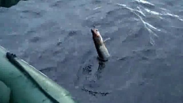 Карелия осень 2010