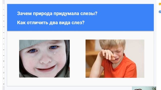 МИР ЭМОЦИЙ.mp4