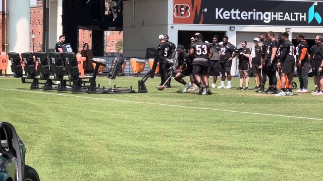 McKinnley Jackson and Kris Jenkins work with Bengals DL Coach Marion ...