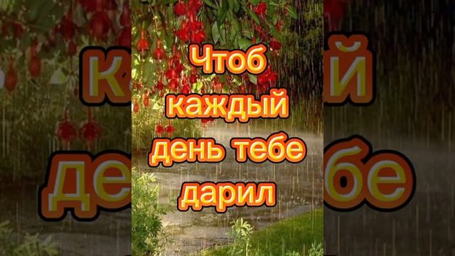 Потрясающего денечка