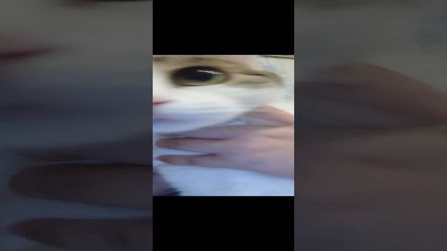 у меня есть кошка