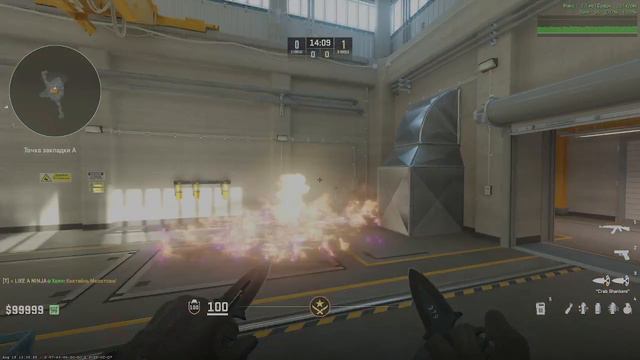 MOLLY T A дальний