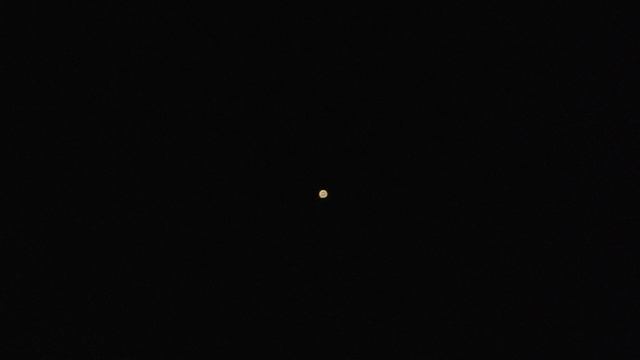 23 03 22. DSCN7587