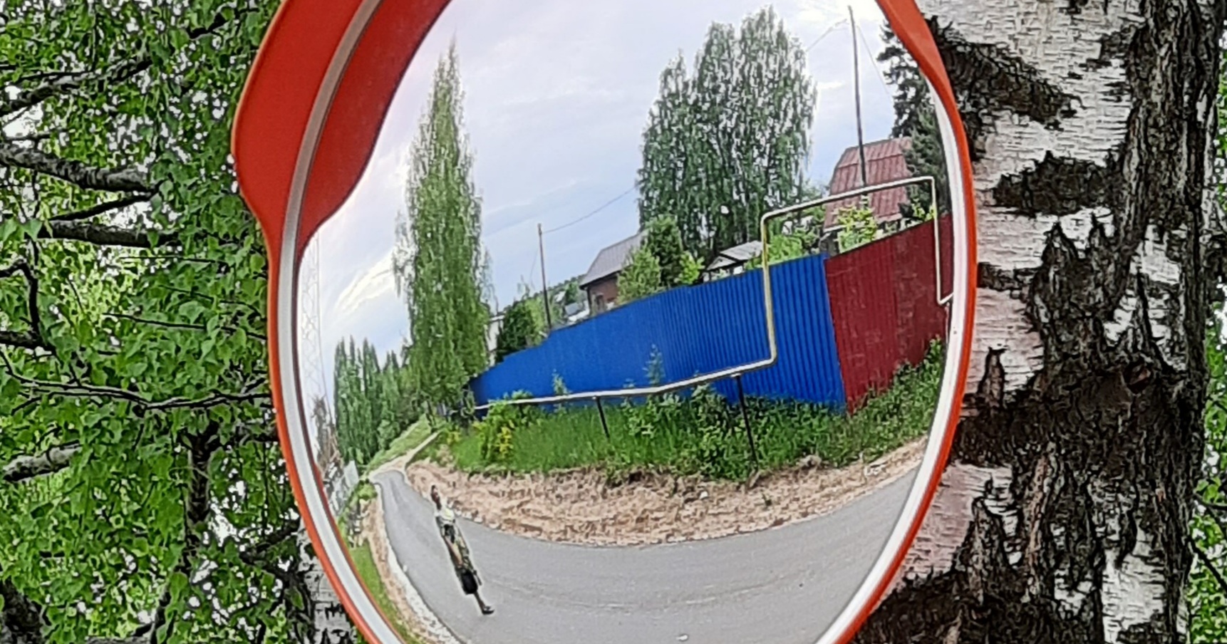 Автозеркало на повороте дороги в лесу