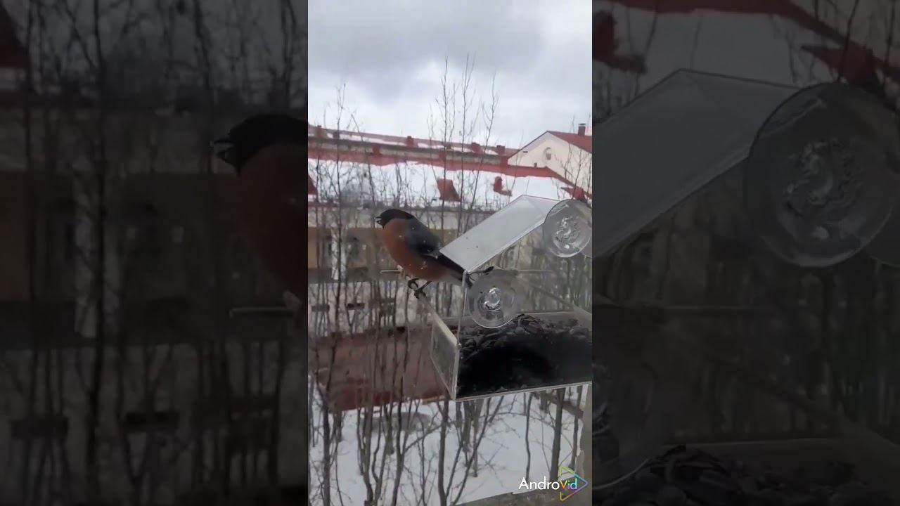 Печенье" Изобилие". Рассказывает повар!