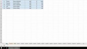Sayfalar ve Özellikleri (Temel Düzey Excel 2019 Dersleri #29)