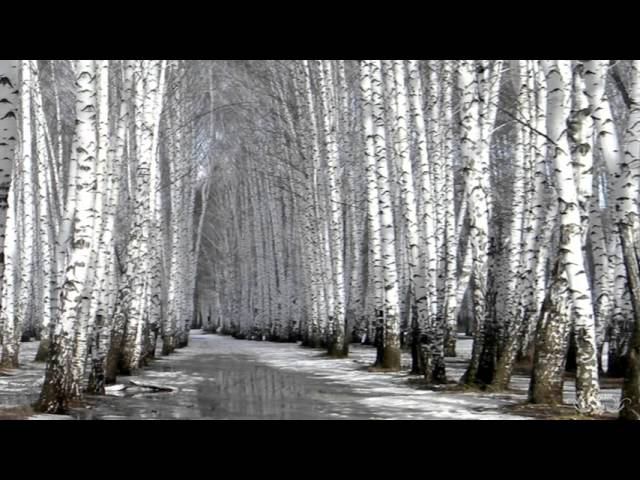 Весна.  Футаж 4. Скачать бесплатно.