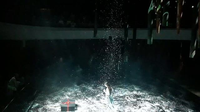 Премьере балета "Красная Шапочка" в концертном зале "Зарядье" 29.12.2019 года. Поклоны и пролог