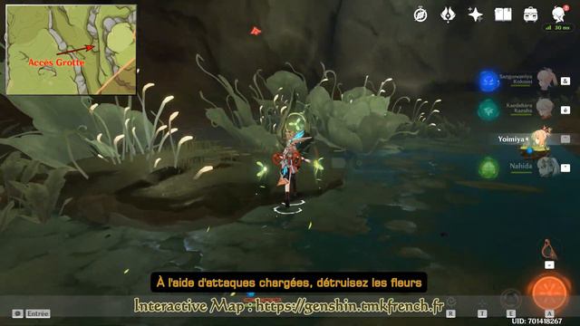 Sumeru - Coffre Délicat n°115 / Exquisite Chest n°115 - Genshin Impact ...