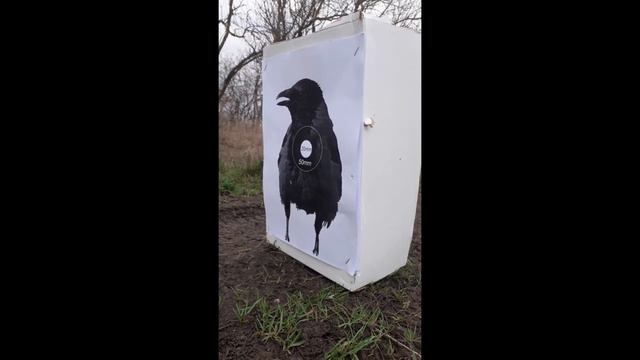 Пневматическая винтовка Hatsan Striker Edge охота на бумажную ворону