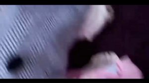 Басик разбил телефон!mp4