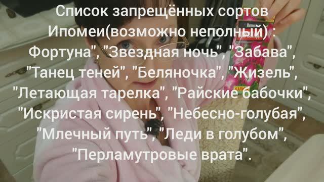 20 февраля 2024 года. Сеем помаленьку... Прощай ипомея трёхцветная.