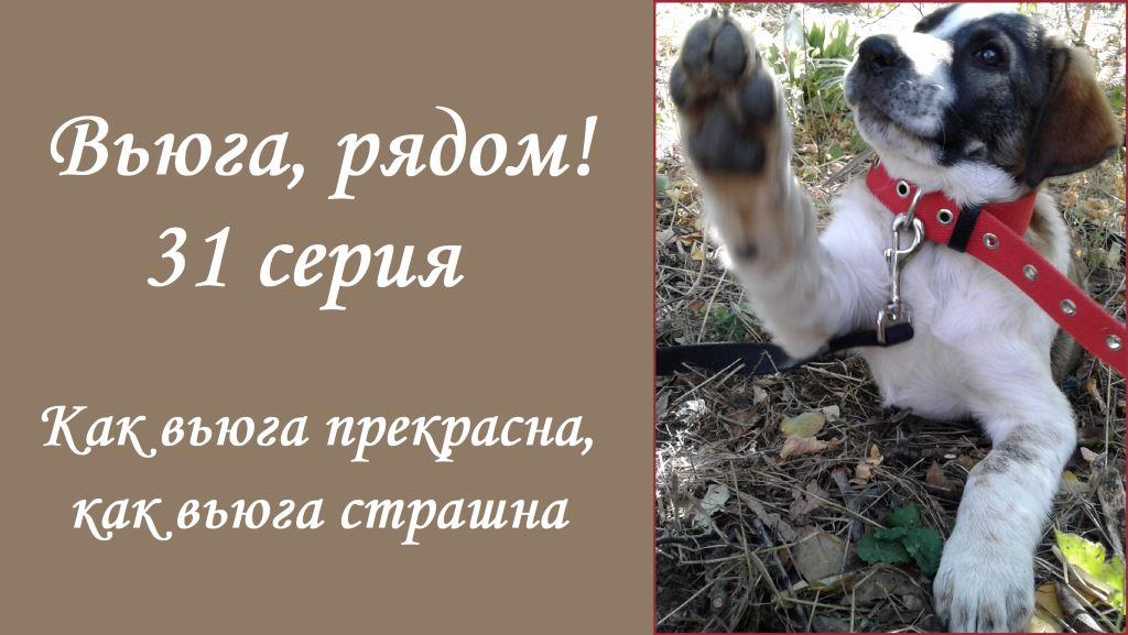 "Вьюга, рядом!" 31 серия "Как вьюга прекрасна, как вьюга страшна"   dub