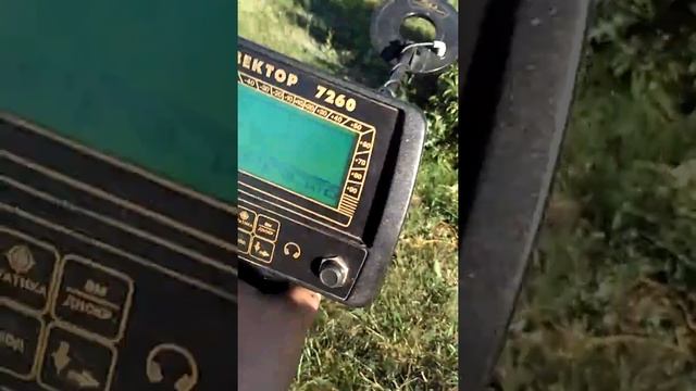 VID 20180731 181149