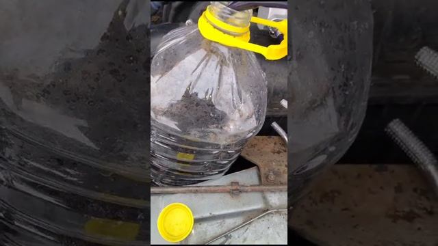 Удаляем гланды через жо... Или замена масла в двигателе ШНГ.