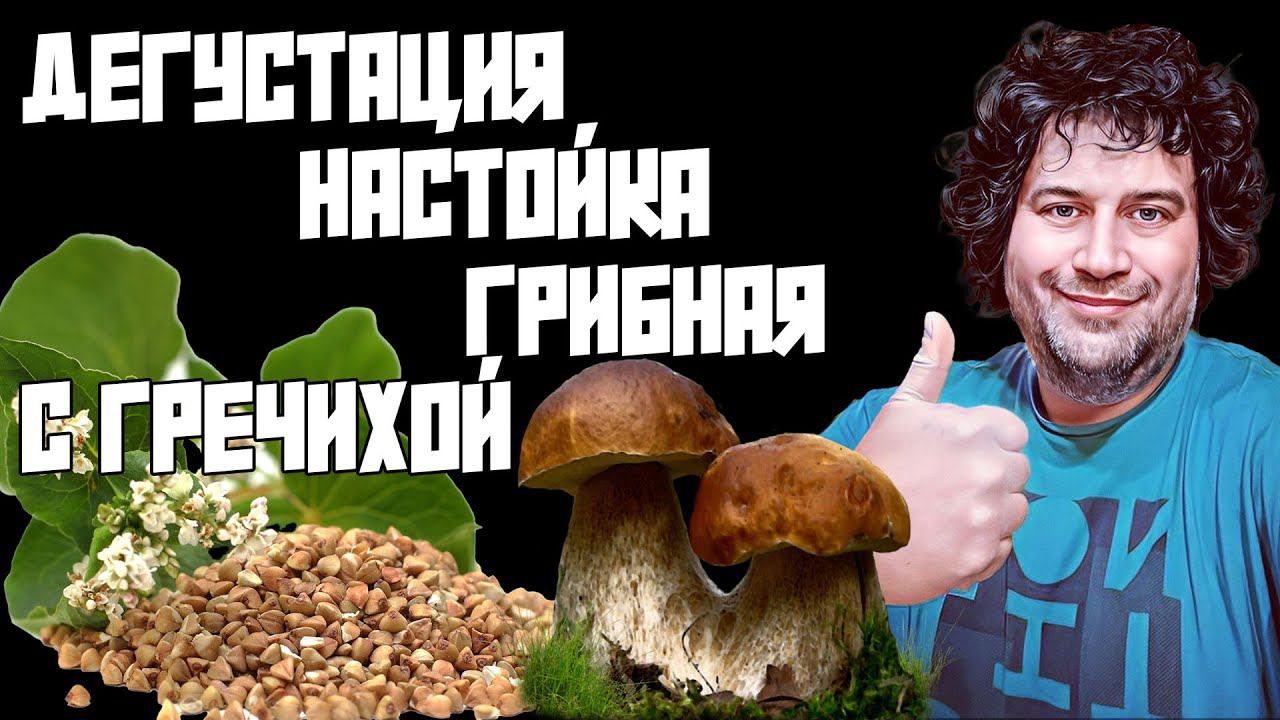 НАСТОЙКА ГРИБНАЯ С ГРЕЧИХОЙ ОТ АЛТАЙСКОГО ВИНОКУРА | ФИЛЬТРУЕМ И ДЕГУСТИРУЕМ