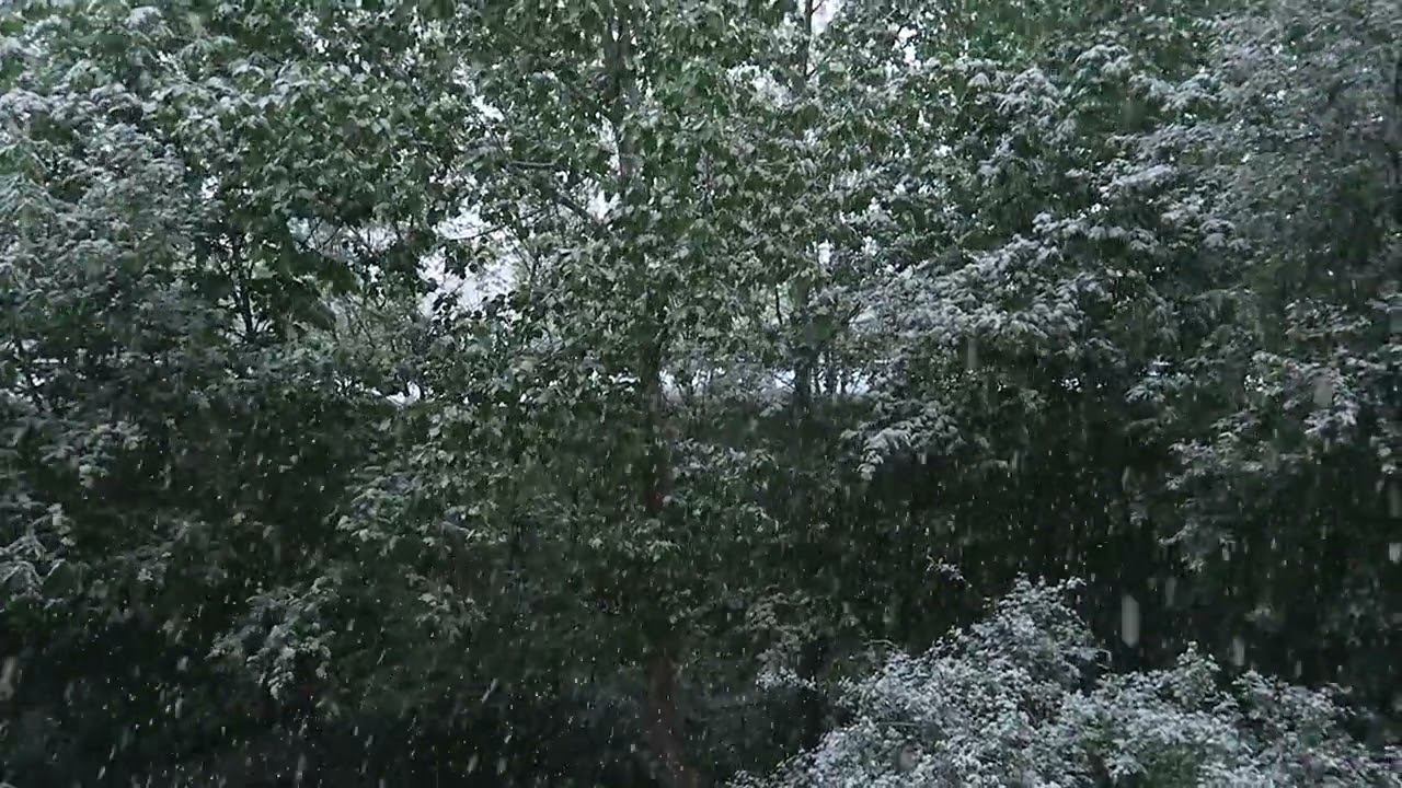 Самара - снег, 3 мая
