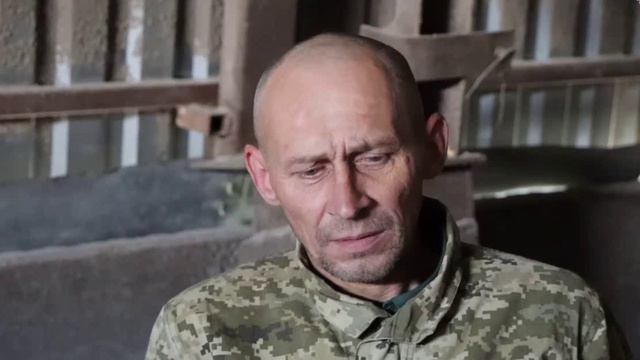 SOS... Спасите наши туши... - смотреть видео онлайн от «Вечный ZOV» в ...