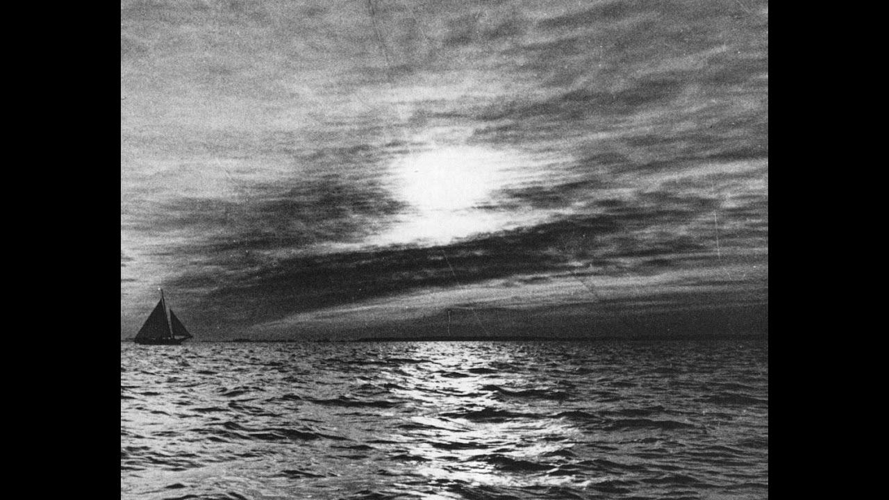 Спасти залив. Задача восстановления сложной экосистемы Чесапикского залива.