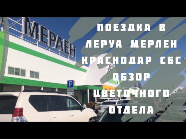 Обзор цветочного отдела в Леруа Мерлен Краснодар СБС 15.02.2022г
