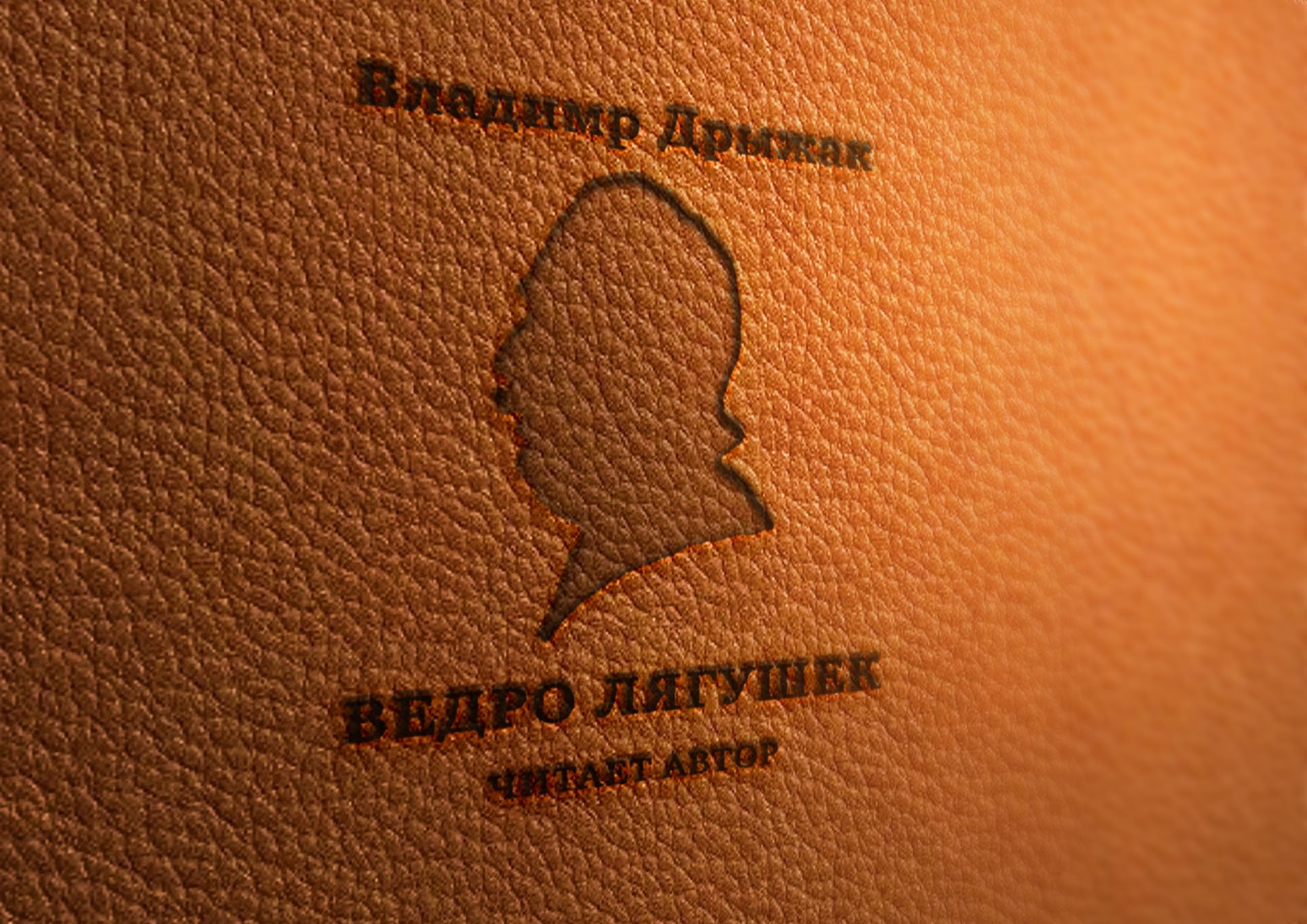 ?Владимир Дрыжак - Ведро лягушек - Аудиокнига?