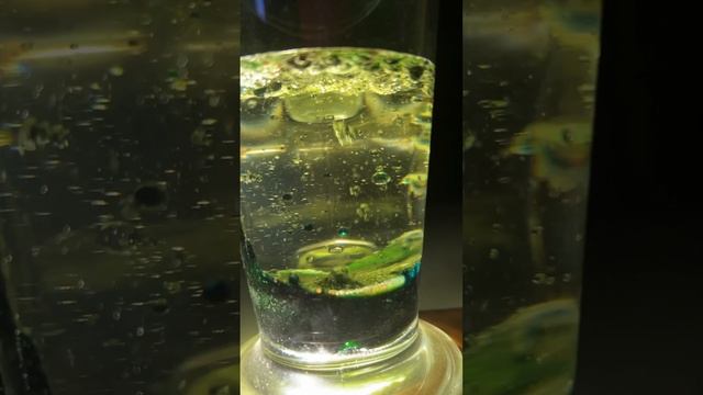 Лава лампа своими руками. Опыты для детей. #shorts