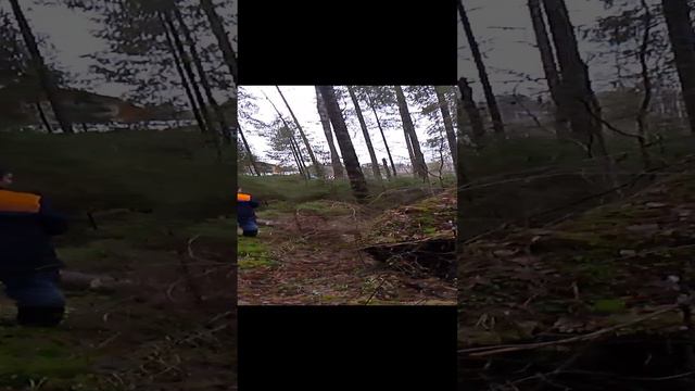 Капкан лешего