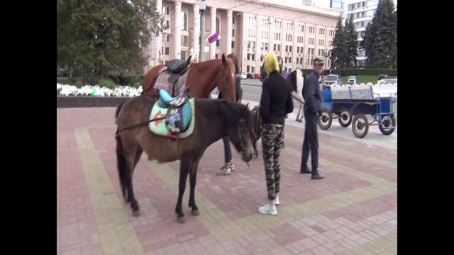 Сквер возе площади Революции г. Челябинск и животные