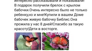 Дом бабочек Миасс