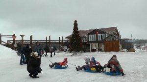 3 января 2014 г. 35-я гимназия г. Владимира. 2Б класс. Новый год на Заячьей горе