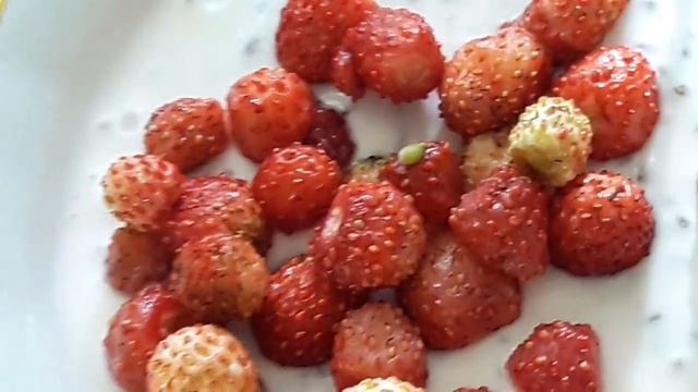 #Семена #чиа для #здоровья и стройности тела.
Поставщик клетчатки для здоровья кишечника.