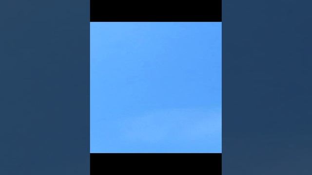 VID_20230705_122239