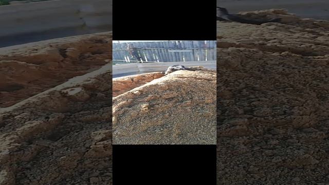 какая большая песочница.