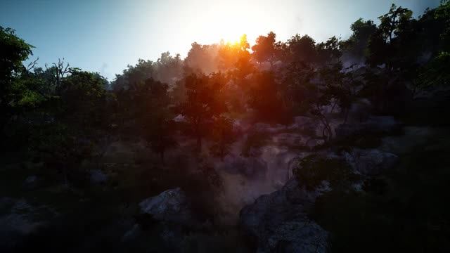 Black Desert тихий ручей