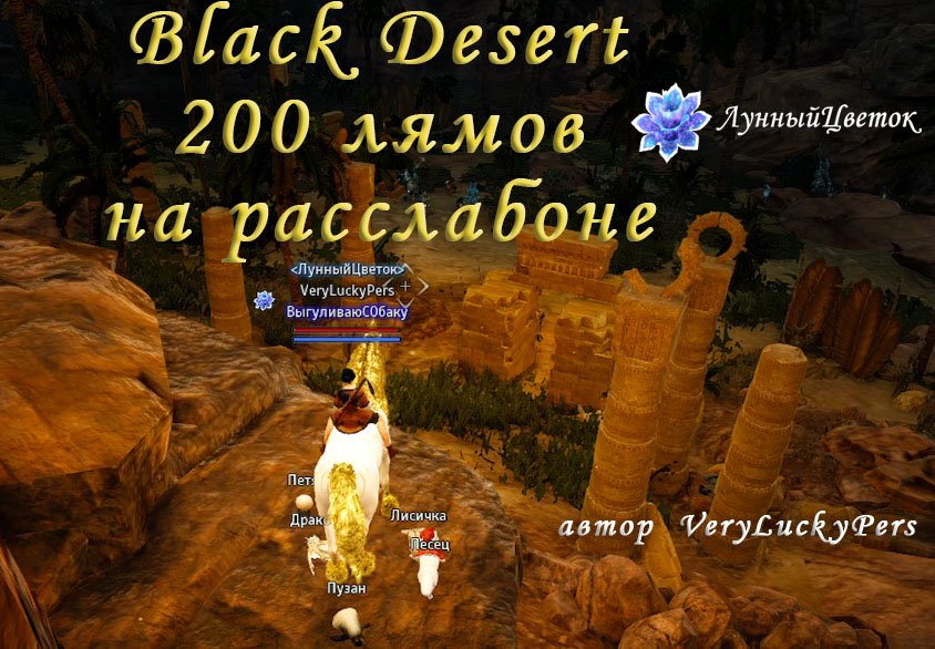 Black desert 200 лямов на расслабоне