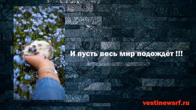 И пусть весь мир подождёт