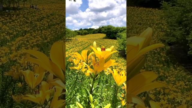 287244089_929990467810719_4014166057593928145_n.mp4