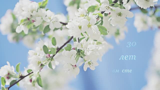 30 лет вместе.