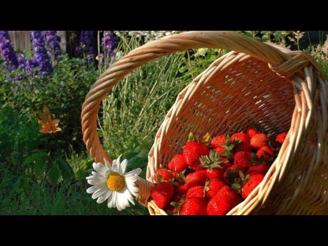 КАКИМ БУДЕТ ИЮЛЬ