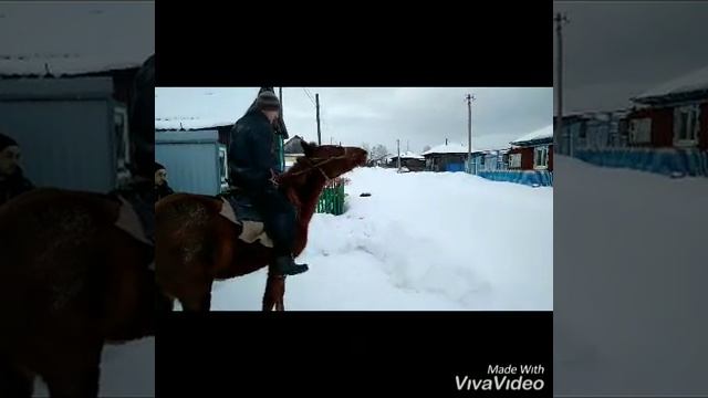Лошадь не желает возить Юру))