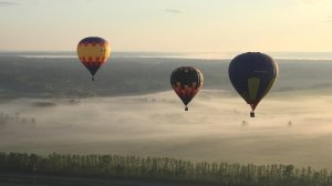 Программа «Город. Новости по-выборгски» от 29 мая 2023 года