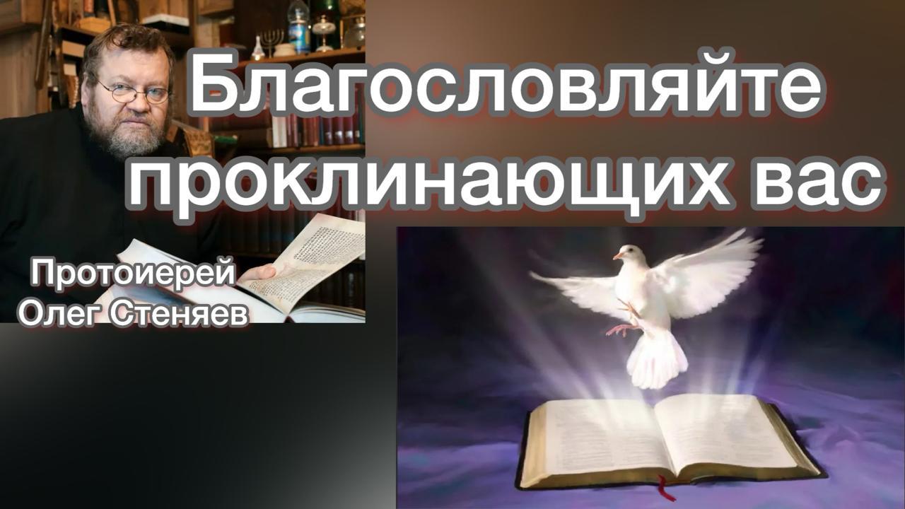 Благословляйте проклинающих вас. Протоиерей Олег Стеняев