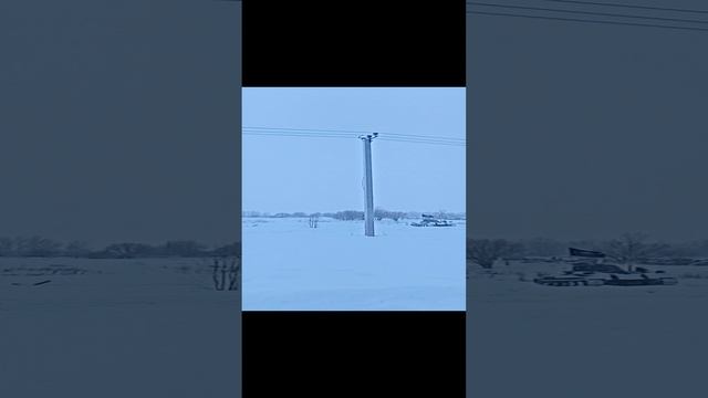 экскурсия танки и техника ВОВ . ПАРК СТАЛЬНОЙ ДЕСАНТ КРАСНОЕ СЕЛО СПБ ПИТЕР САНКТ-ПЕТЕРБУРГ ЗИМА