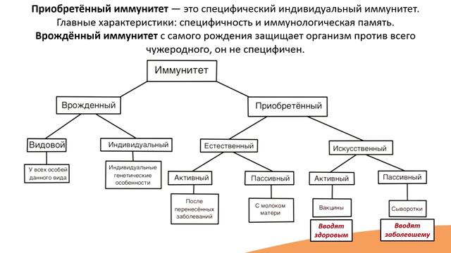 12.3. Виды иммунитета