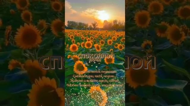 А времени поток неумолим