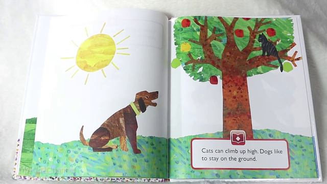 Eric Carle CAT & DOG Eric Carle ReadMe Aloud Books I MyKidzChannel ...