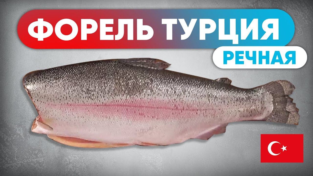 ОБЗОР Речная ФОРЕЛЬ  из Турции. Как выбрать лосось? Сергей Лигай показал как разделать красную рыбу